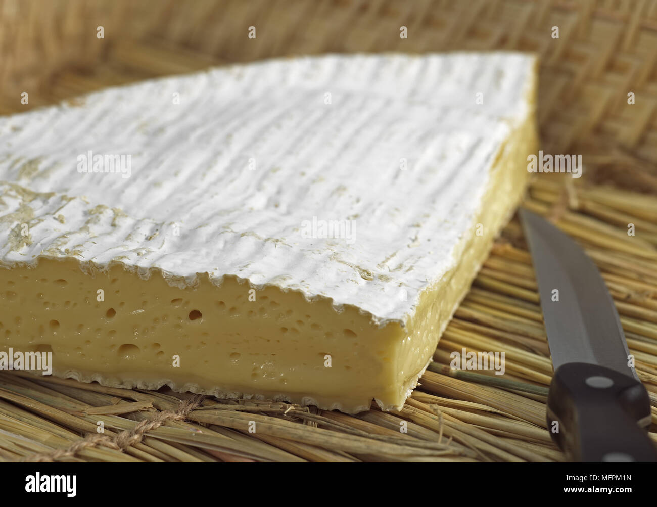 Brie de Meaux, a French Cheese made from Cow's Milk Stock Photo - Alamy