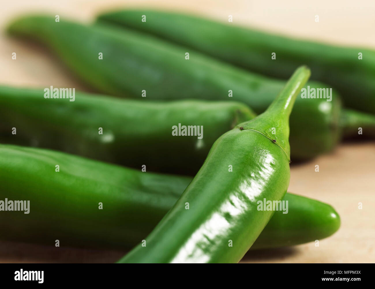 Green Chili Pepper, capsicum annuum Stock Photo - Alamy