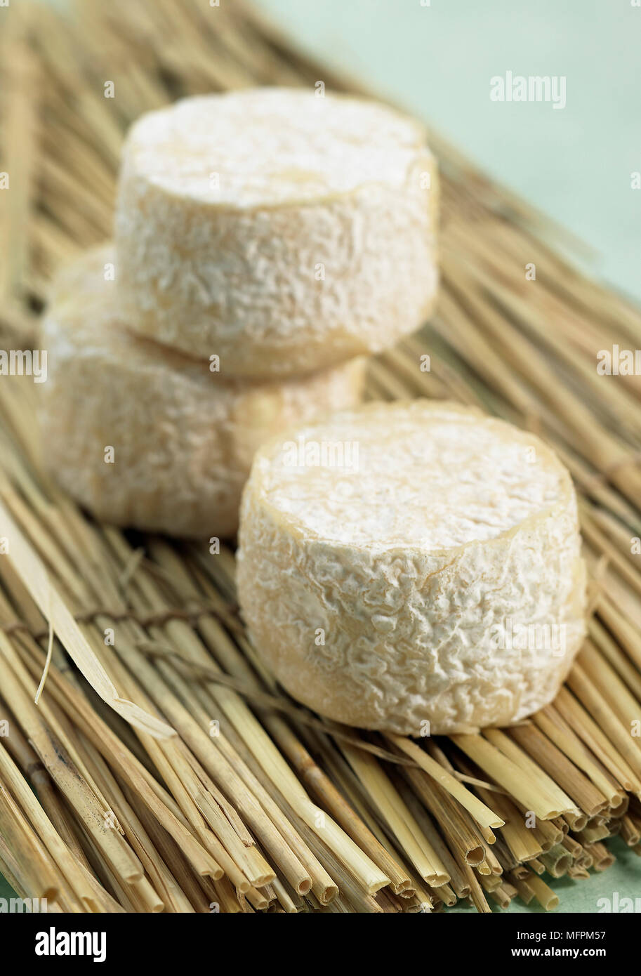 French Goat Cheese called Crottin Stock Photo - Alamy