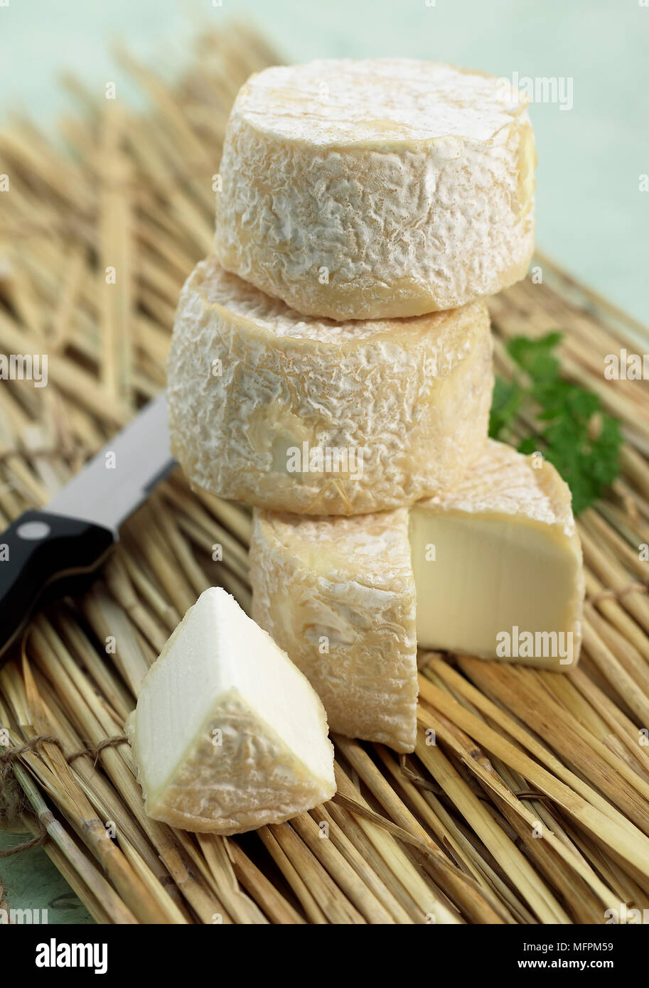French Goat Cheese called Crottin Stock Photo - Alamy