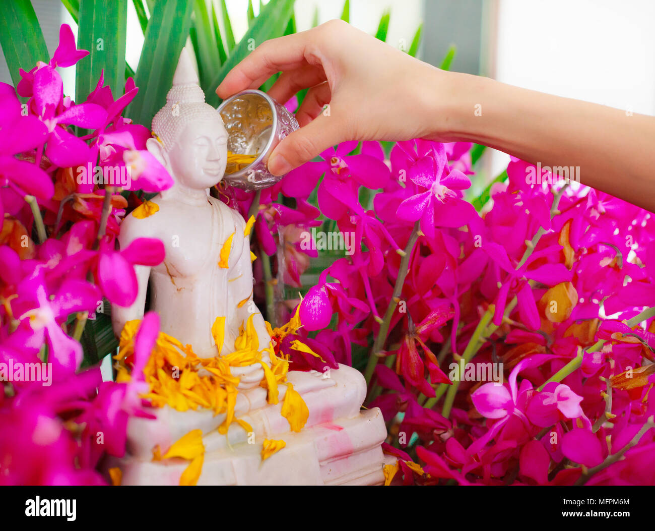 Sprinkle water onto a Buddha image, a gesture of worship during the ...
