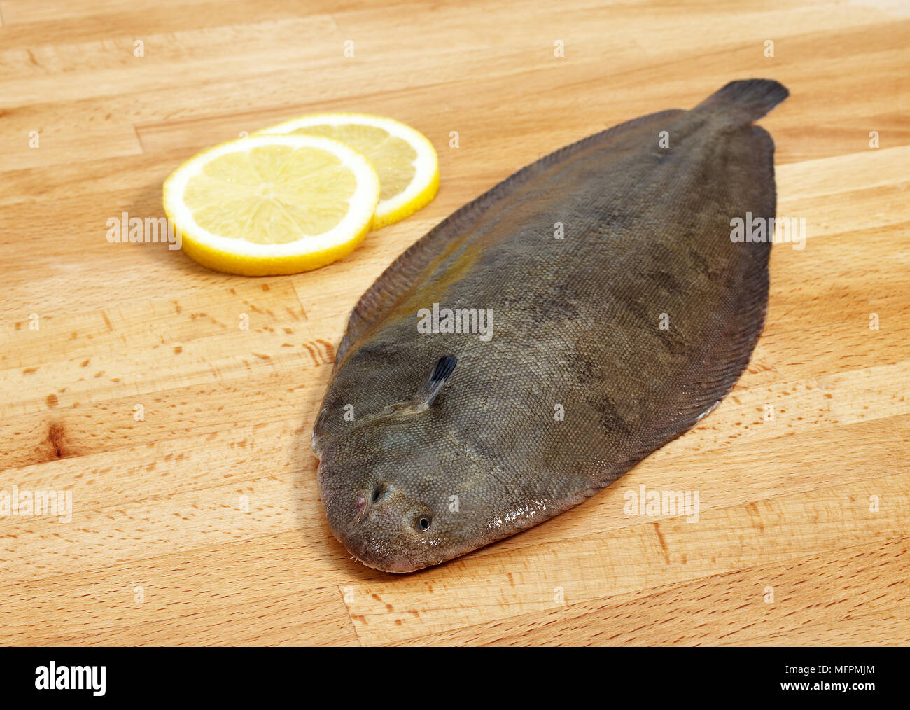 Solea solea hi-res stock photography and images - Alamy