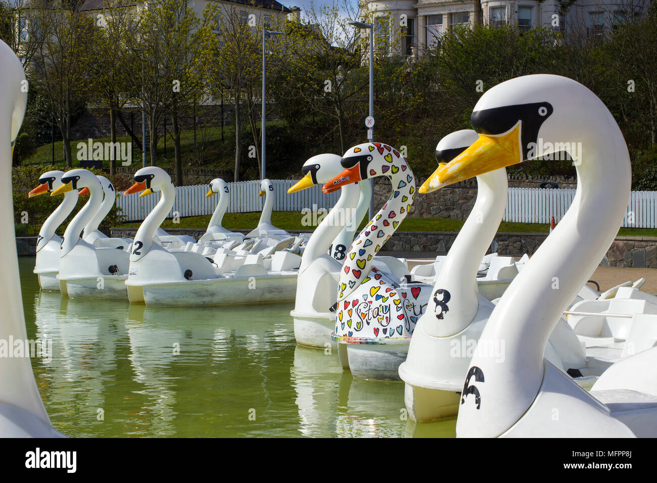 White swan pedalos hi-res stock photography and images - Alamy