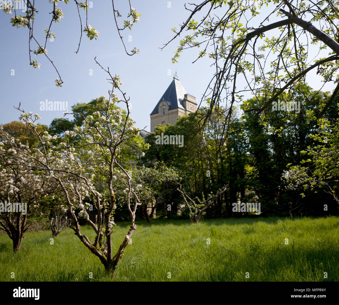 Fairfield bedfordshire orchard hi-res stock photography and images - Alamy
