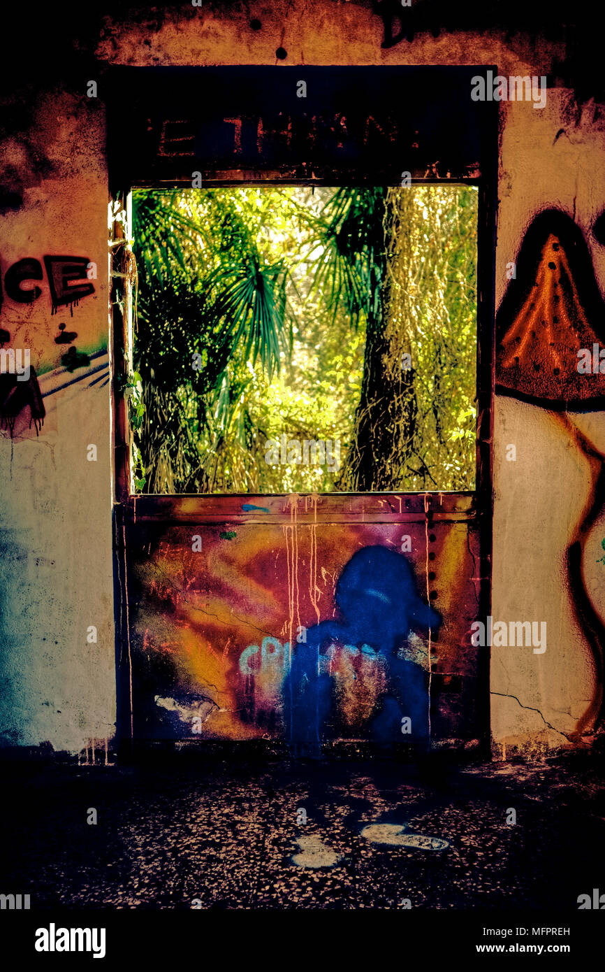 Graffiti palm trees hi-res stock photography and images - Alamy