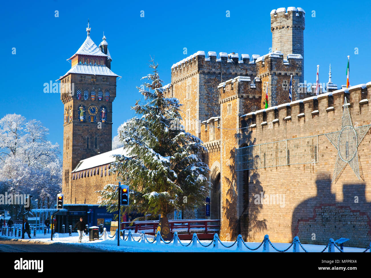 Cardiff Christmas Tree High Resolution Stock Photography and Images - Alamy