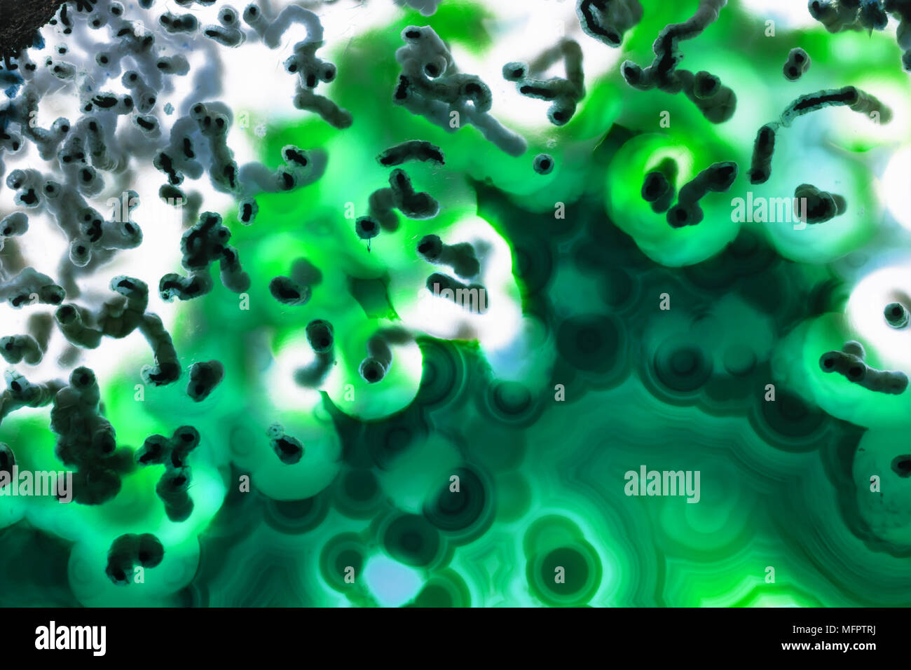 Abstract background, green and cyan agate mineral cross section Stock ...