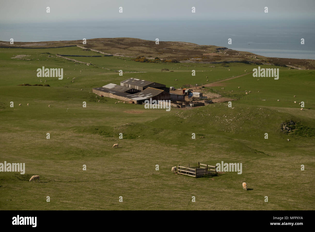 Welsh farm house hi-res stock photography and images - Alamy