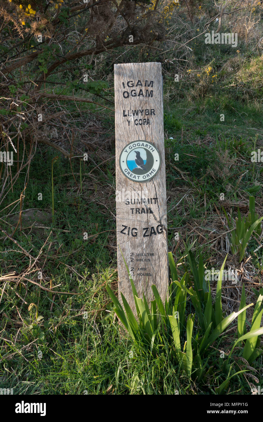 Wales footpath hi-res stock photography and images - Alamy