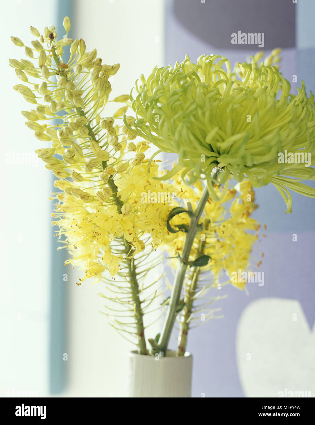 Yellow flower arrangement Stock Photo - Alamy