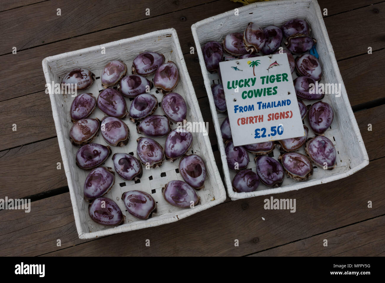 Tropical sea shells for sale outside shop. Wales Stock Photo - Alamy