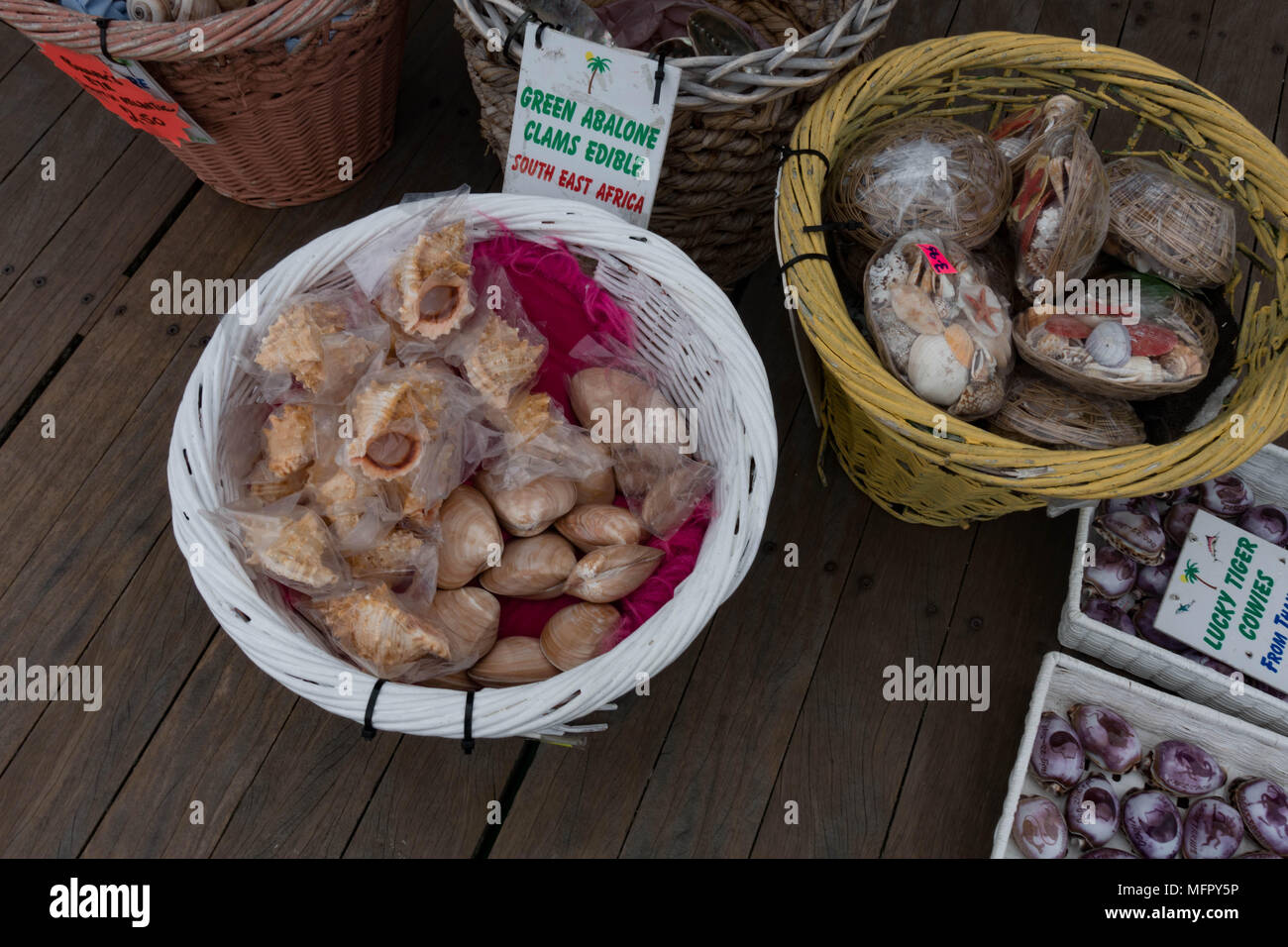 Seashells for sale wales hi-res stock photography and images - Alamy