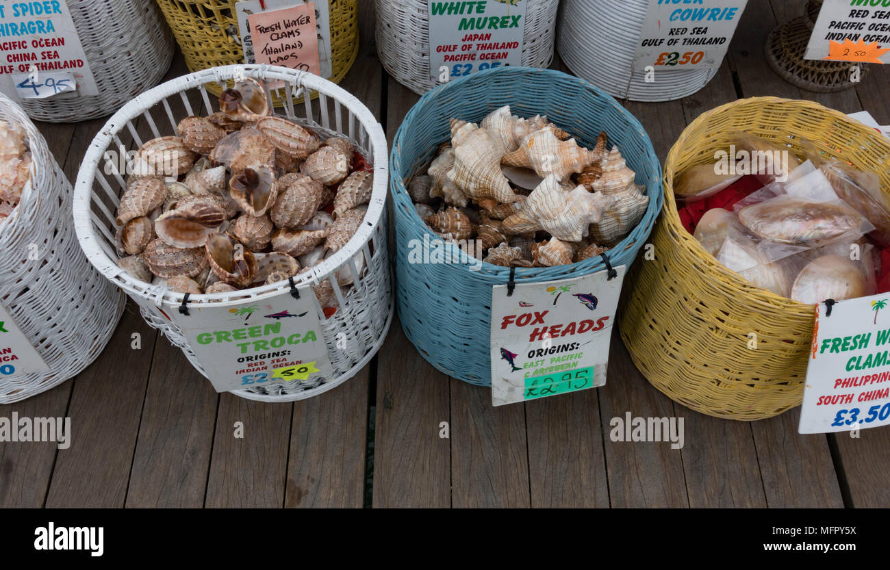 Seashells for sale at seaside town. UK Stock Photo - Alamy