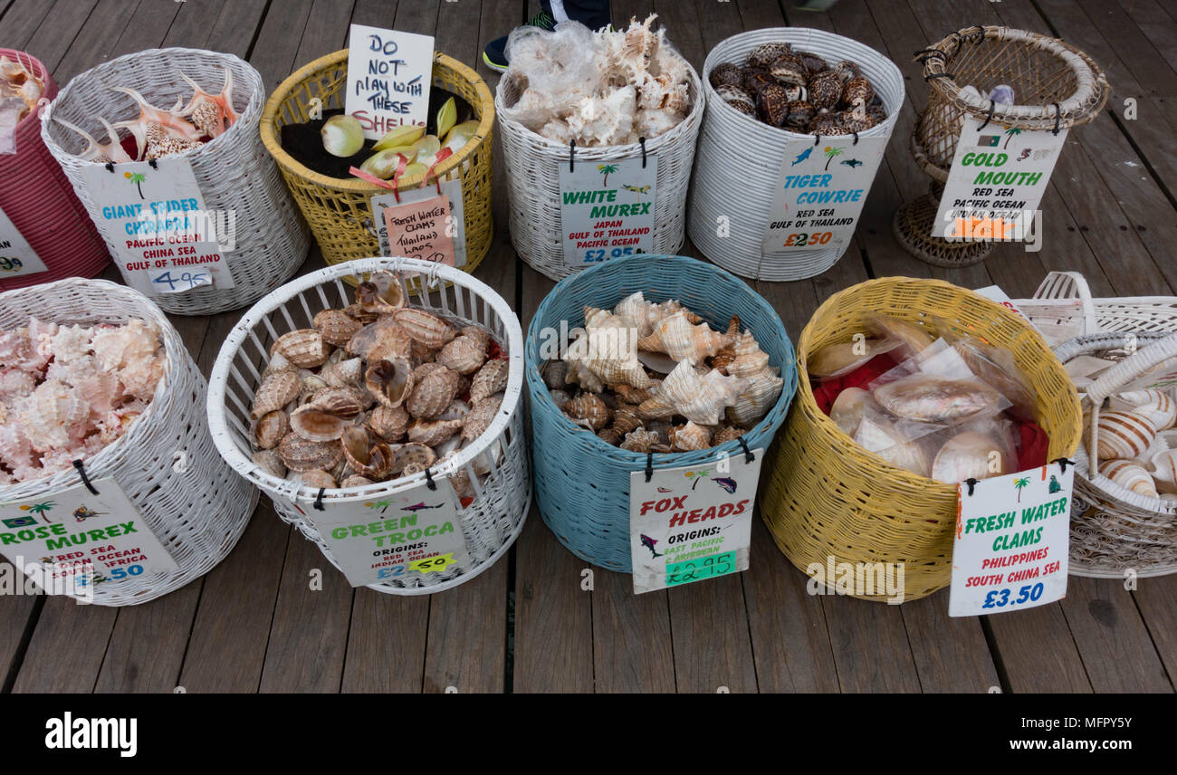 Seashells for sale at seaside town. UK Stock Photo - Alamy