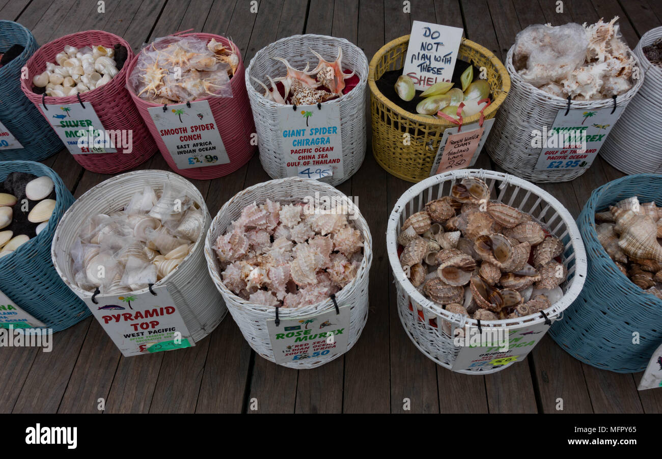 Seashells for sale wales hi-res stock photography and images - Alamy
