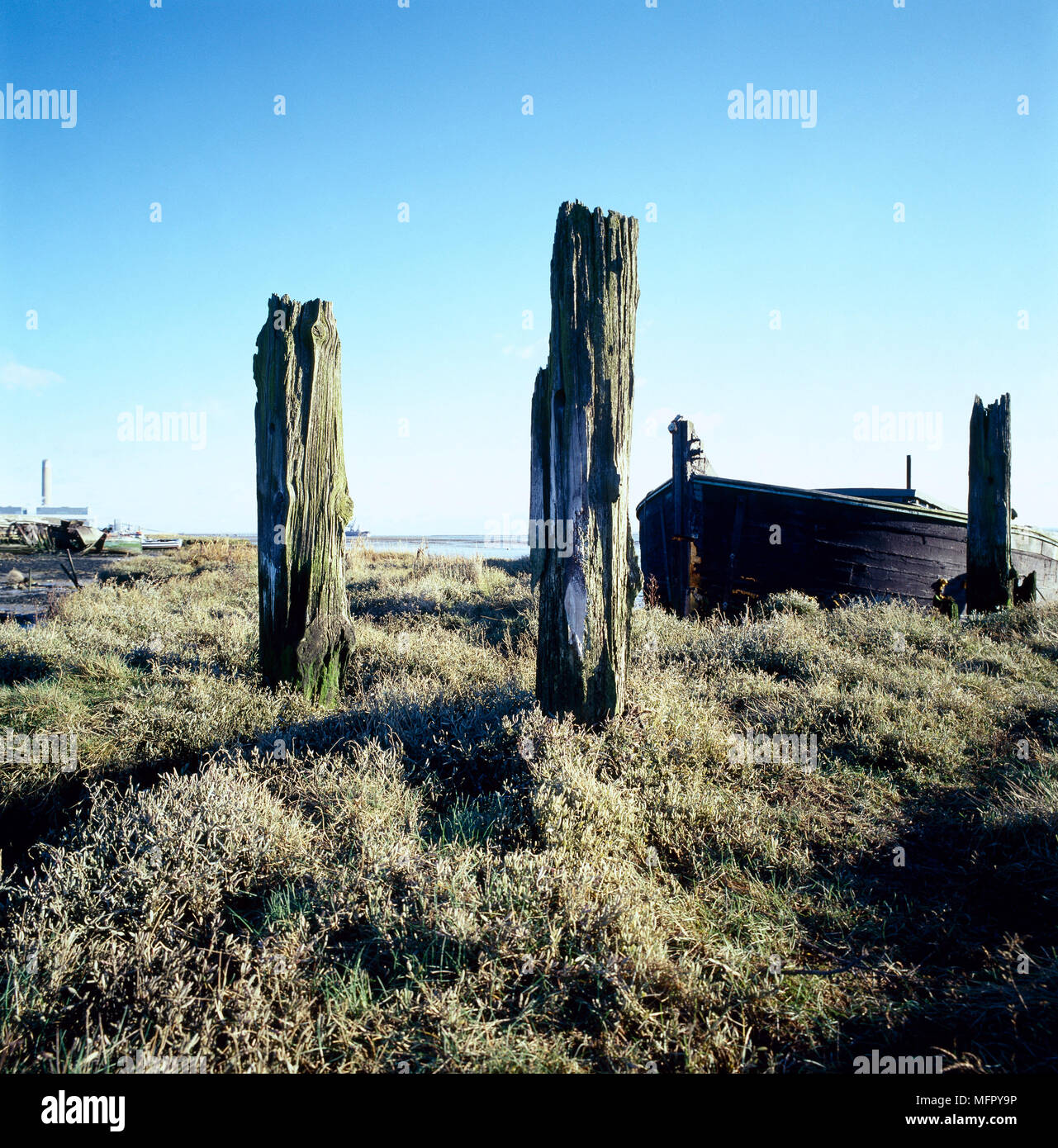 Old pier piling hi-res stock photography and images - Alamy