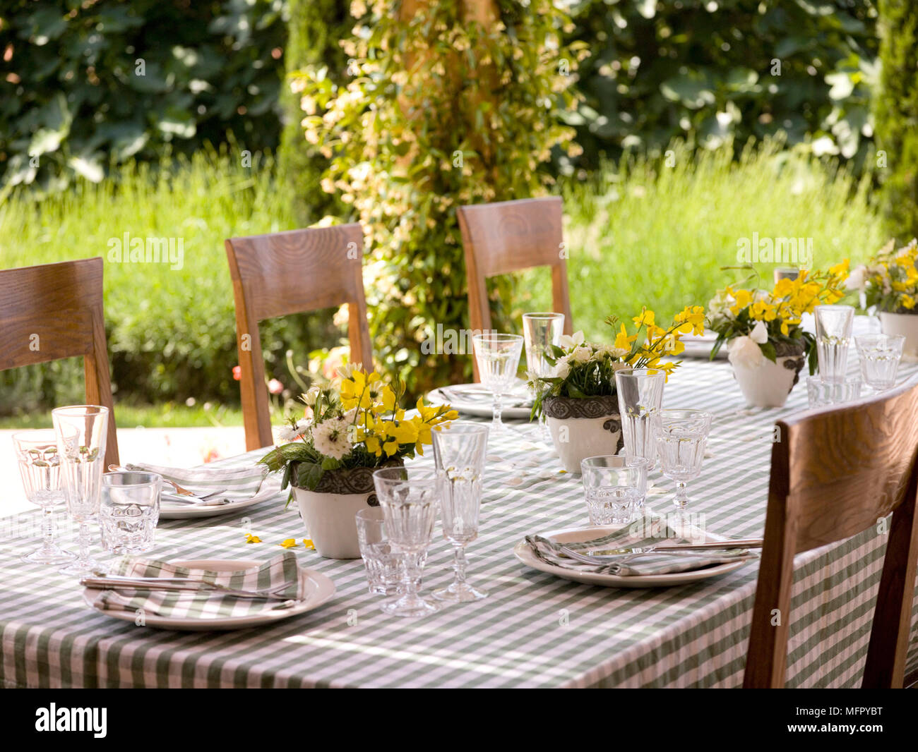 Table set for summer lunch in garden Stock Photo - Alamy