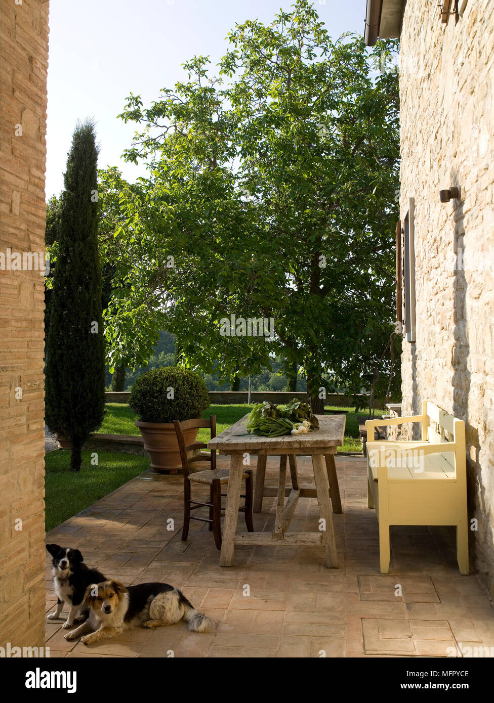 Rustic table and bench seat on patio of Mediterranean garden Stock ...