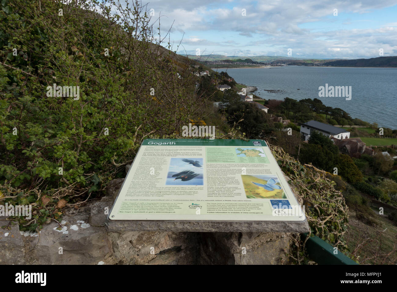Gogarth nature reserve hi-res stock photography and images - Alamy