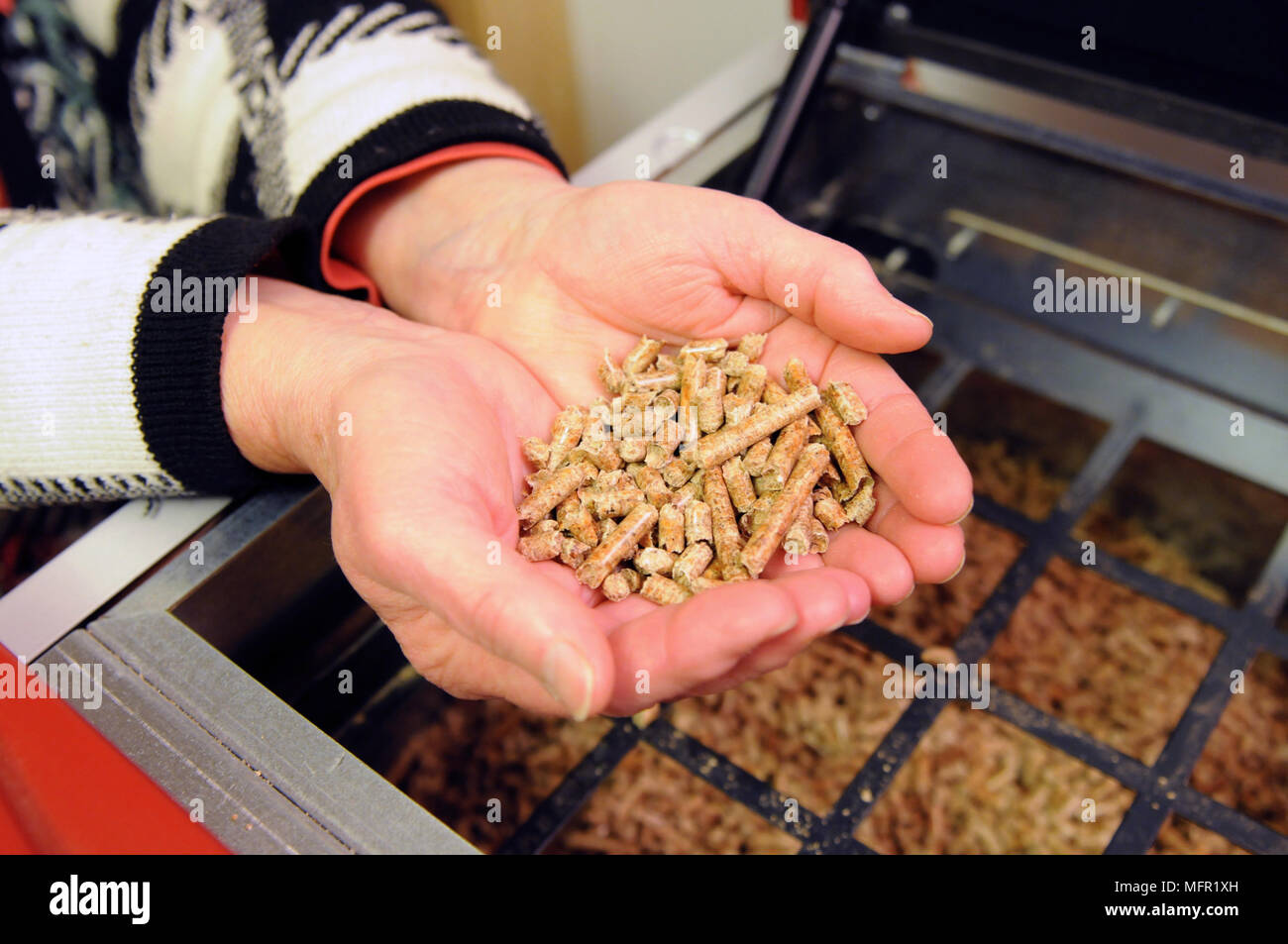 Bio Fuel being in feed into a home boiler to save energy made out of ...