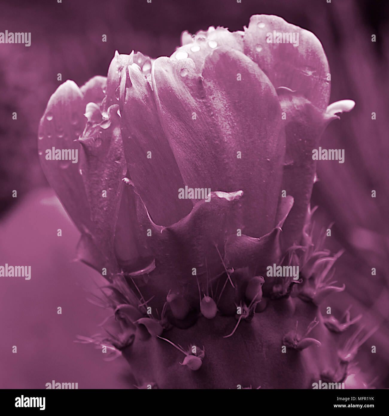 3507 hi-res stock photography and images - Alamy
