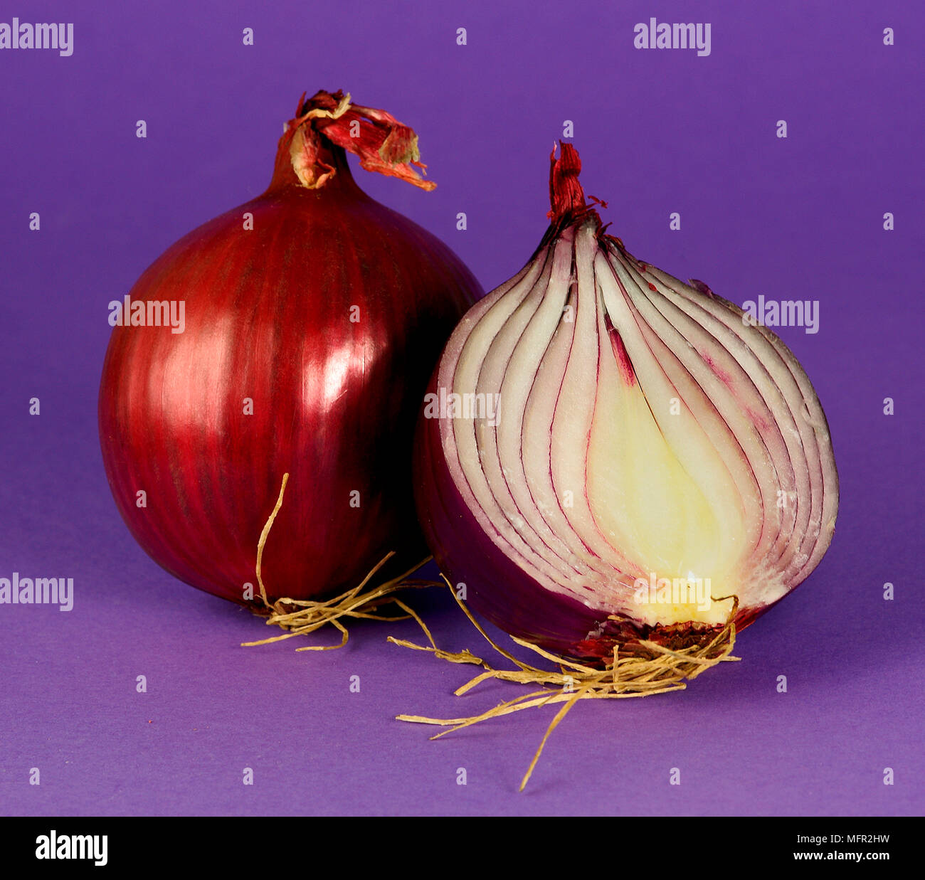 Showing onions hi-res stock photography and images - Alamy