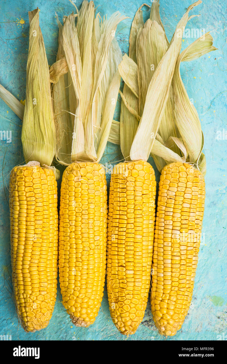 Colorful whole corn cob on blue table, top view Stock Photo - Alamy
