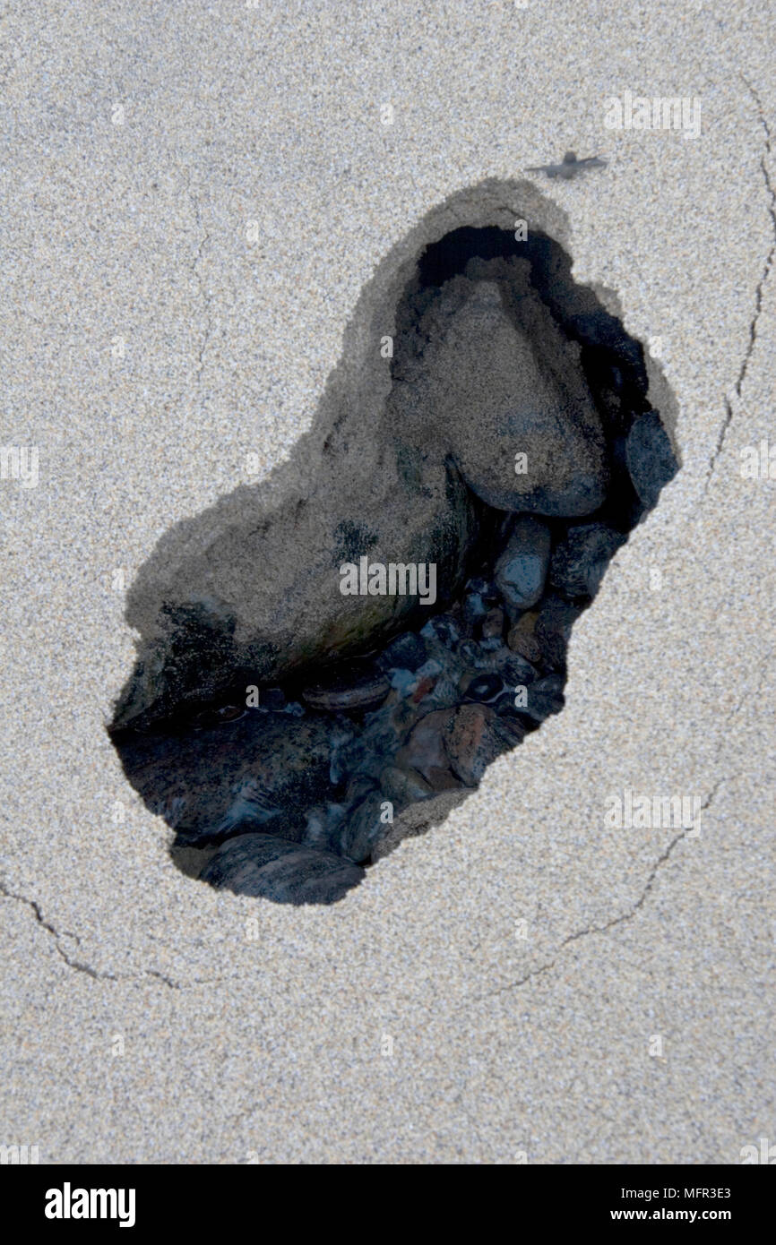 The outflowing tide has eroded the sand underneath and created this ...