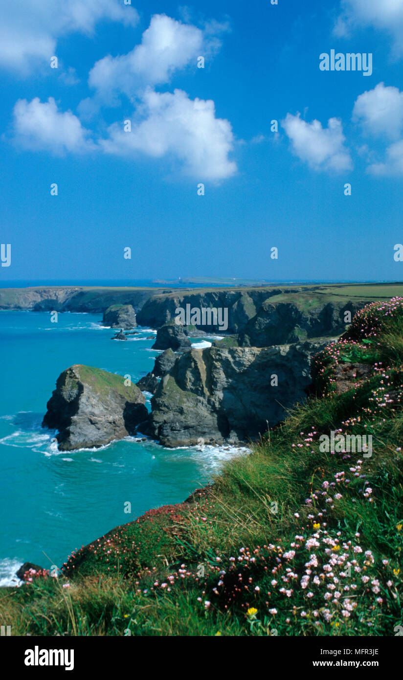 10000 steps hi-res stock photography and images - Alamy