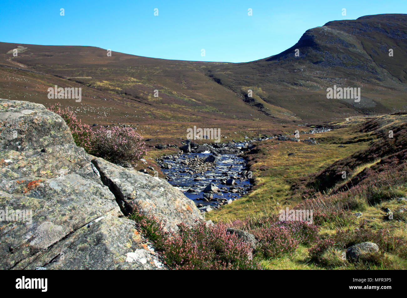 Granite rocks and heather by the Callater Burn, near Braemar ...