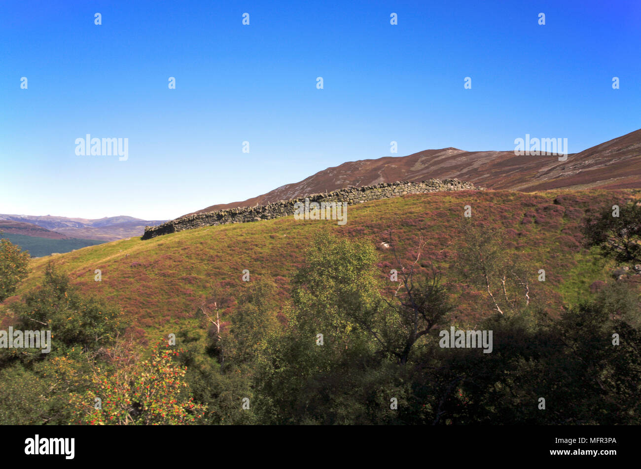 Stone sheep pen hi-res stock photography and images - Alamy