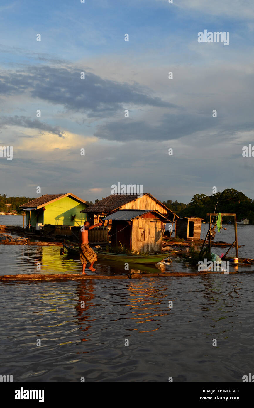 daily life on the banks of the Barito River Central Borneo, Indonesia ...