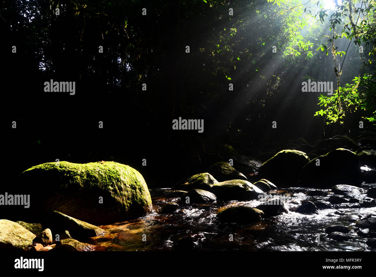 view of the Meratus mountains in South Borneo, Indonesia Stock Photo ...