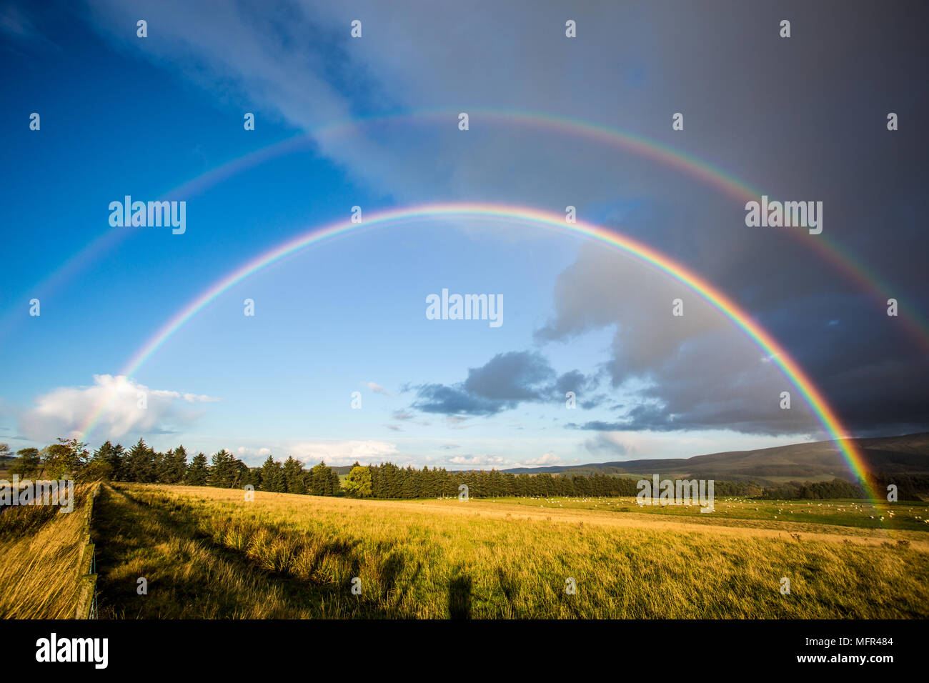 Double rainbow over field with trees Stock Photo - Alamy