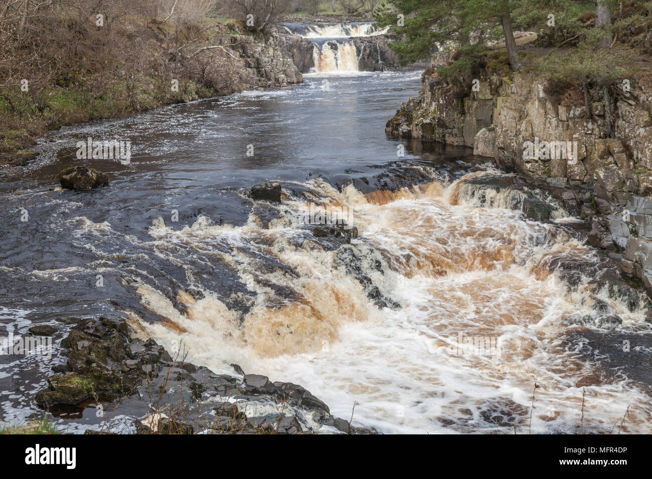 Low Force waterfalls in Teesdale,England,UK Stock Photo - Alamy