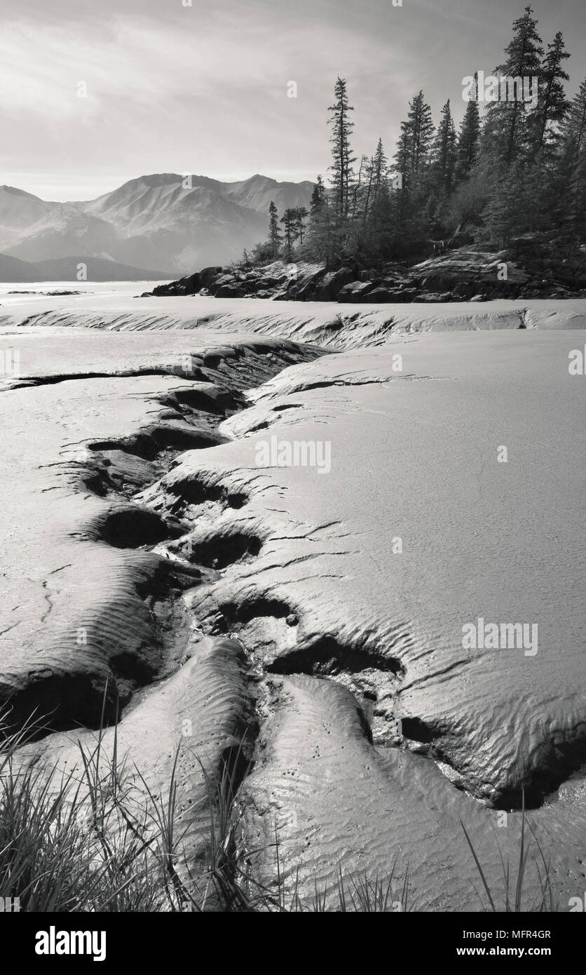 Landscape view of the tidal mud flats of Turnagain Arm during summer ...