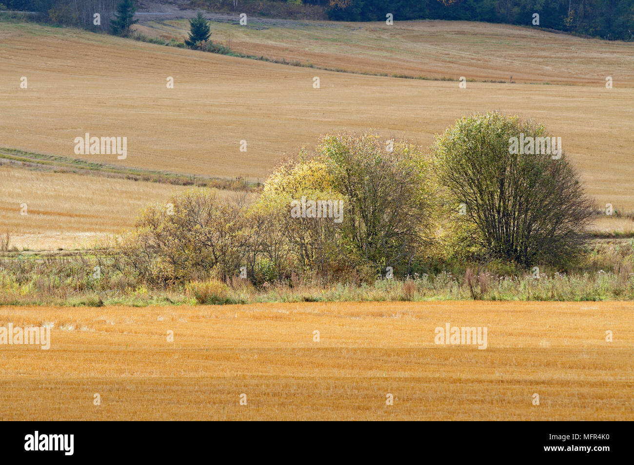 Empty fields hi-res stock photography and images - Alamy
