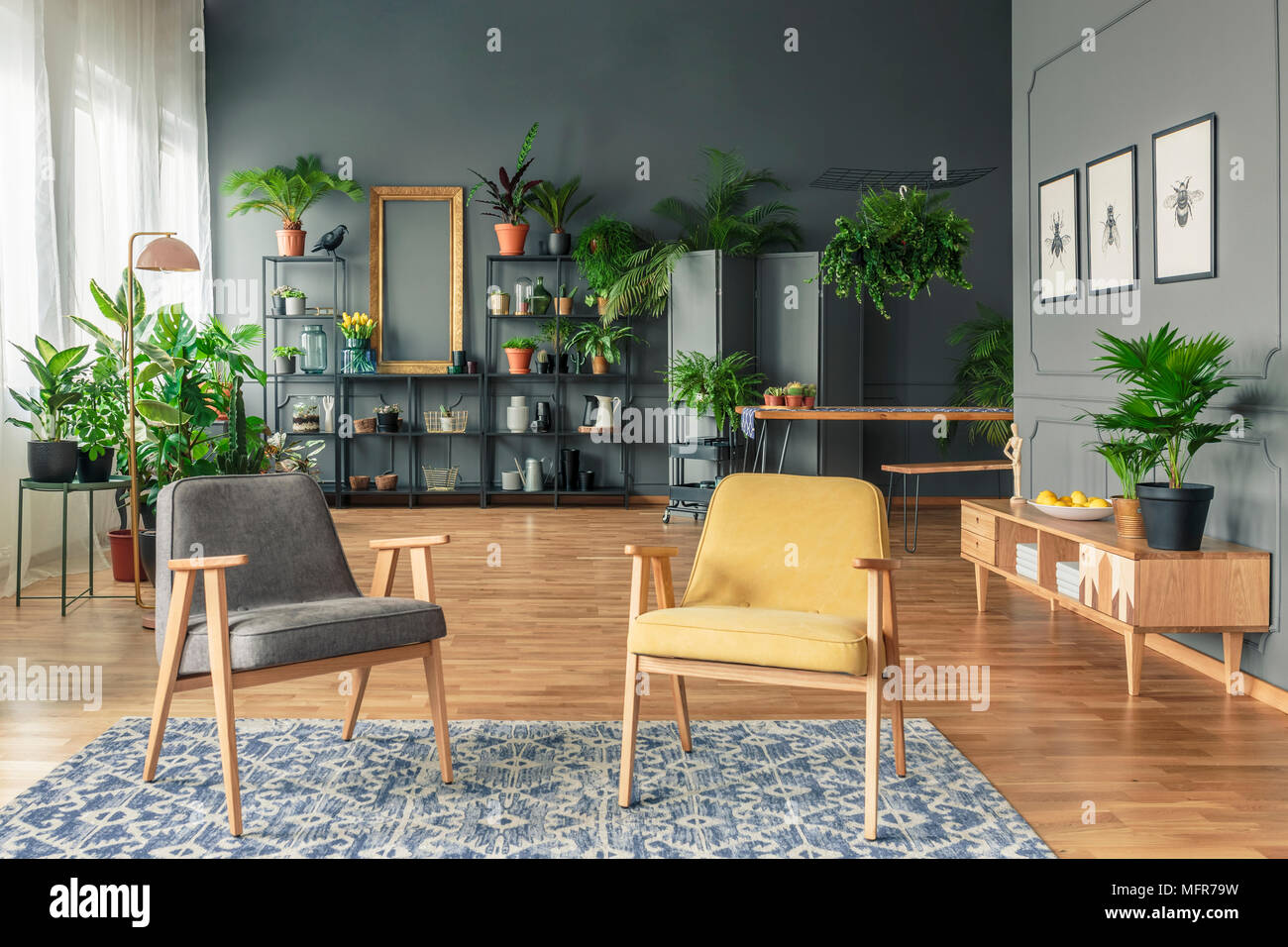 Botanic living room interior with dark walls and wooden furniture such ...