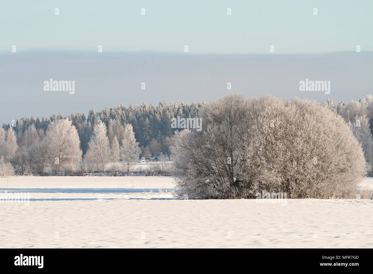 Chilly cold morning hi-res stock photography and images - Alamy