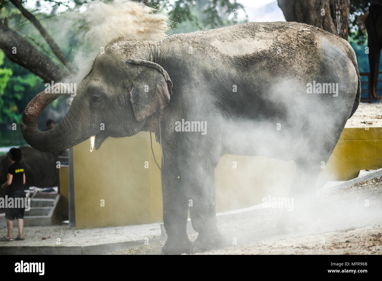 Protect against the sun hi-res stock photography and images - Alamy