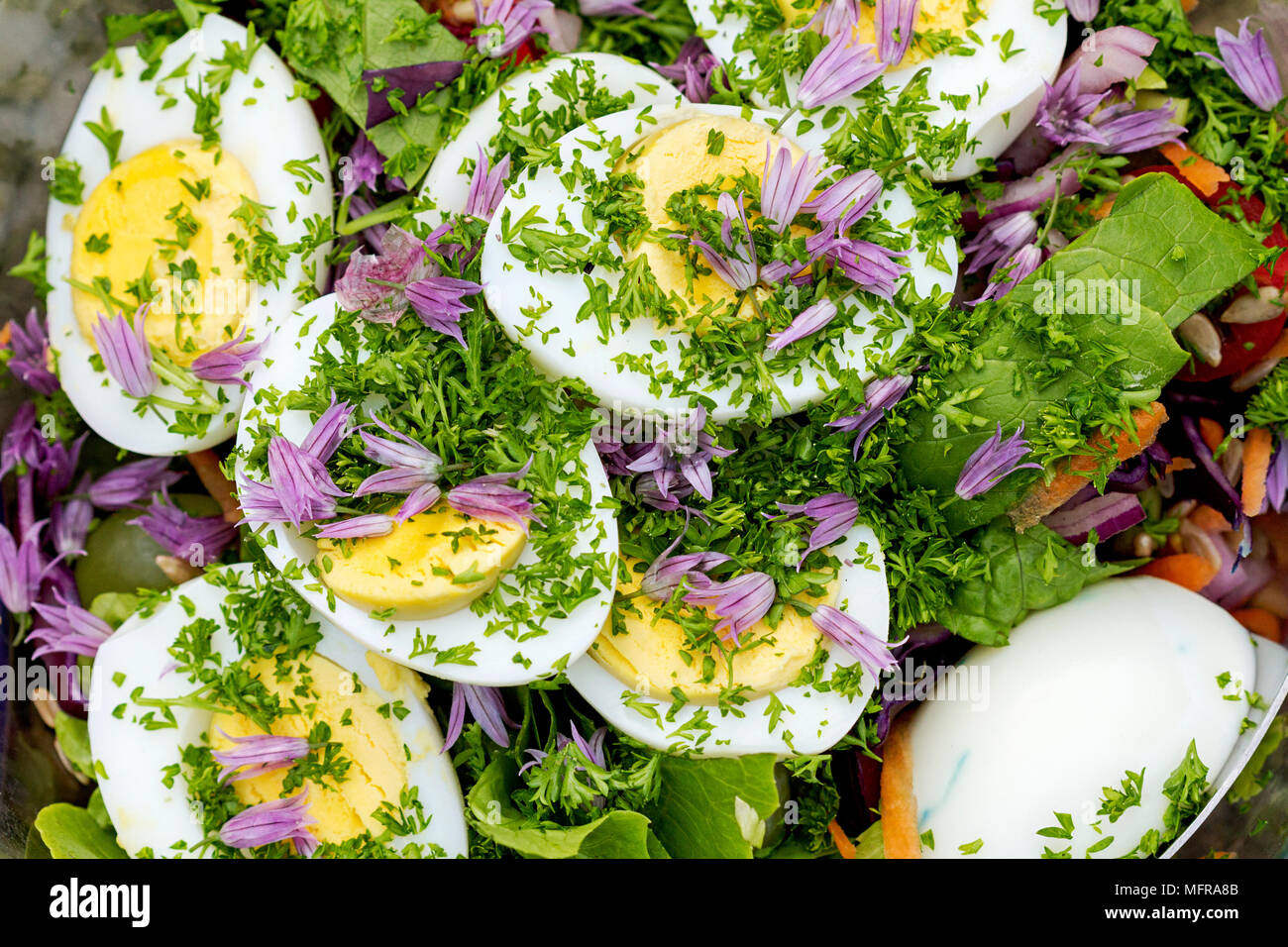 Fresh colourful hard boiled egg salad Stock Photo - Alamy