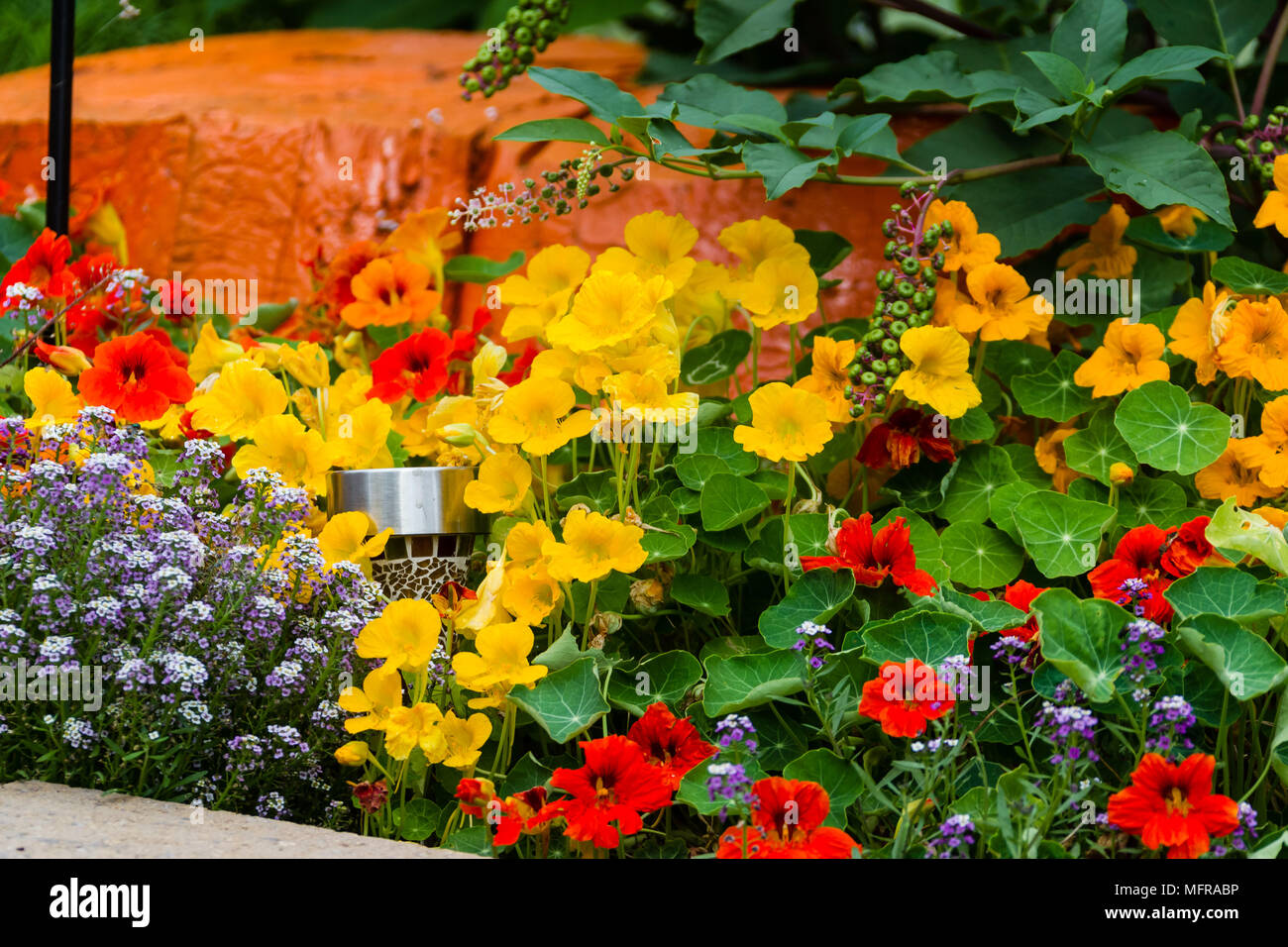 Garden tree stump flowers hi-res stock photography and images - Alamy