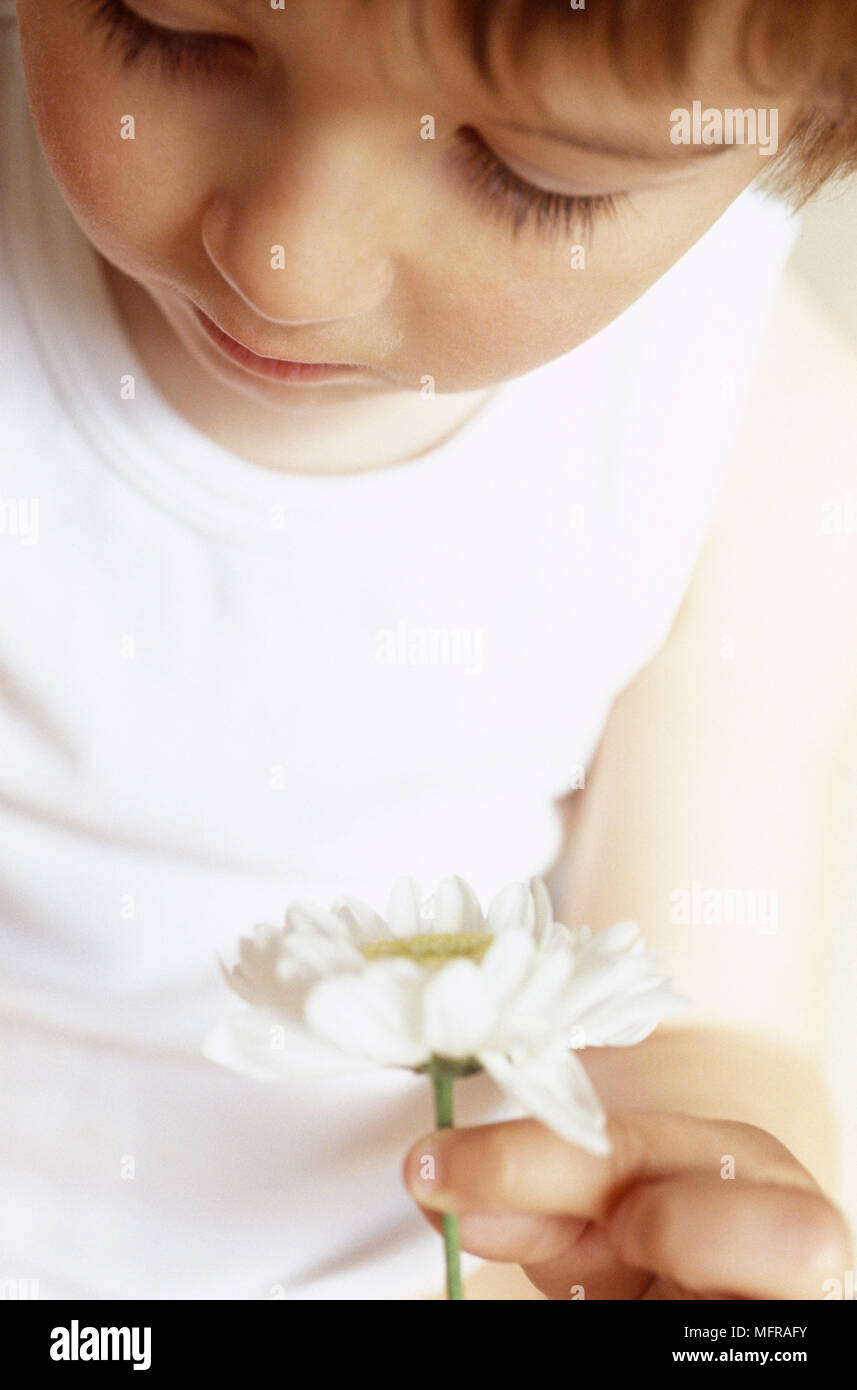 A little boy with white flower Stock Photo - Alamy