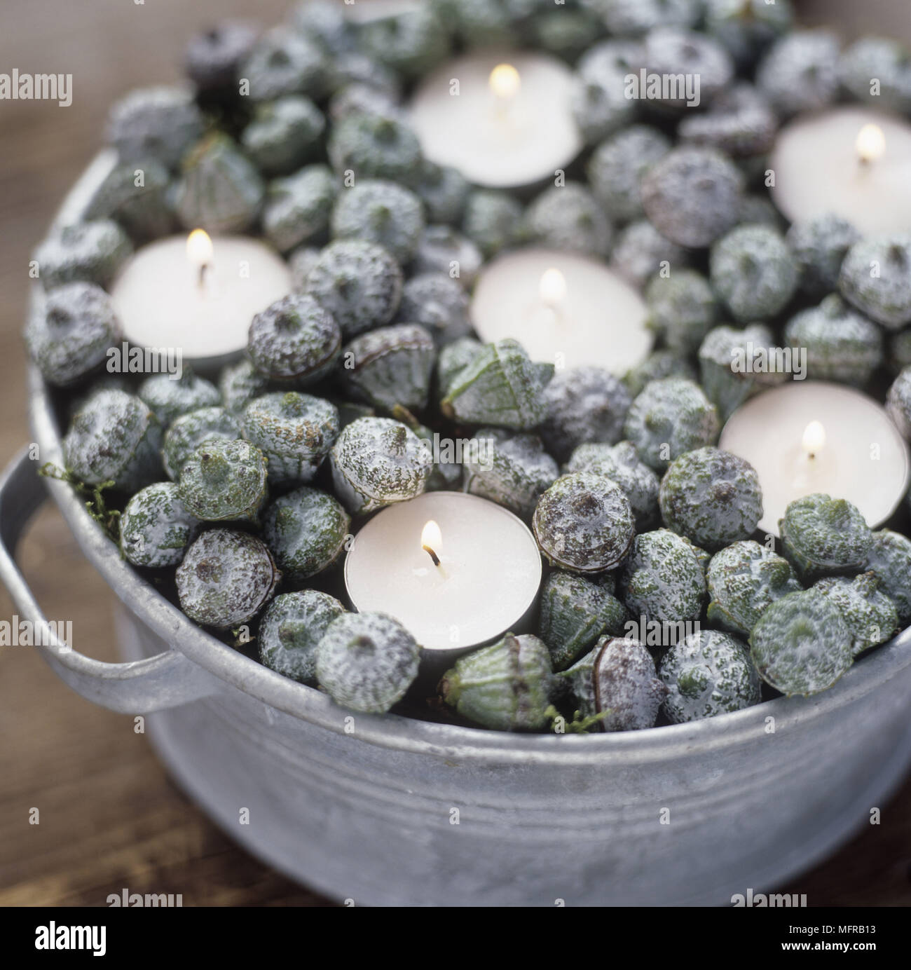 Purple and green acorn shells in a metal bucket with lit tea lights ...