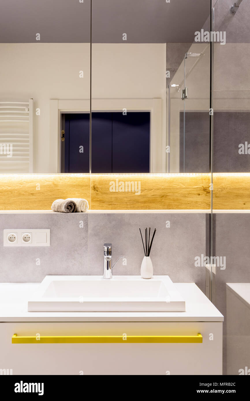 Bathroom Mirror Reflection