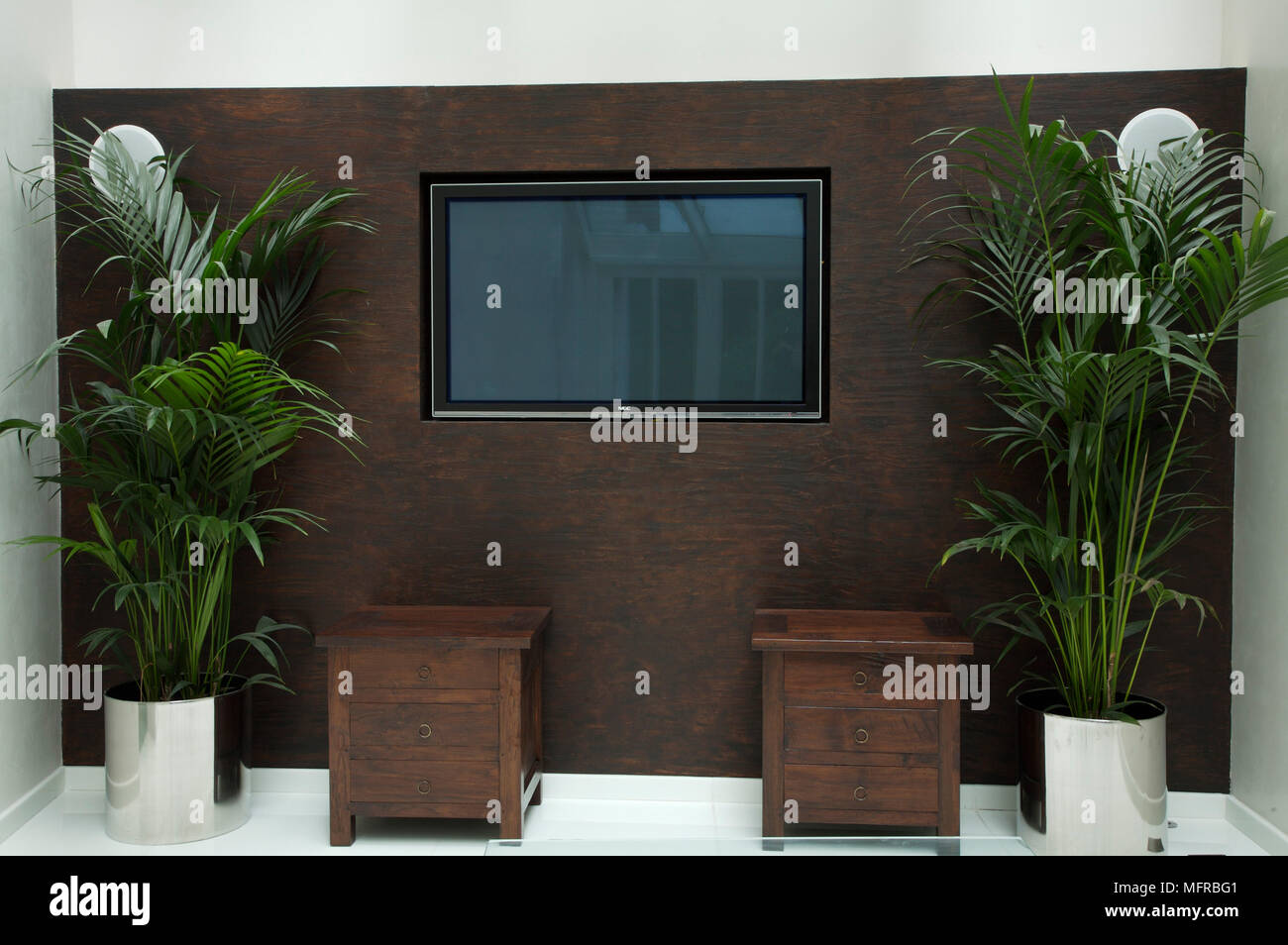 Inbuilt flat screen television between two large house plants Stock ...