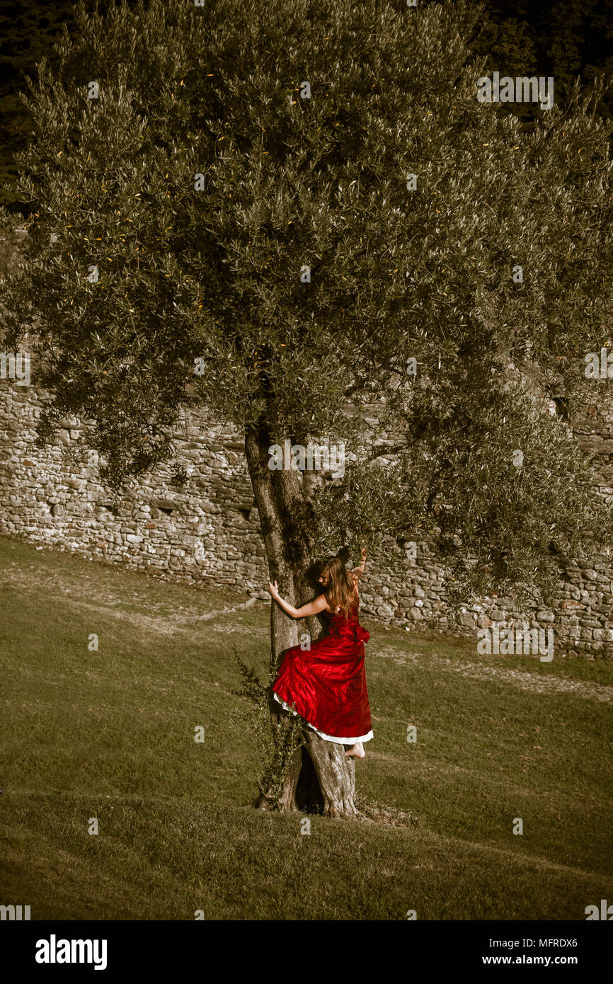 a woman in a red dress is climbing up an olive tree Stock Photo - Alamy
