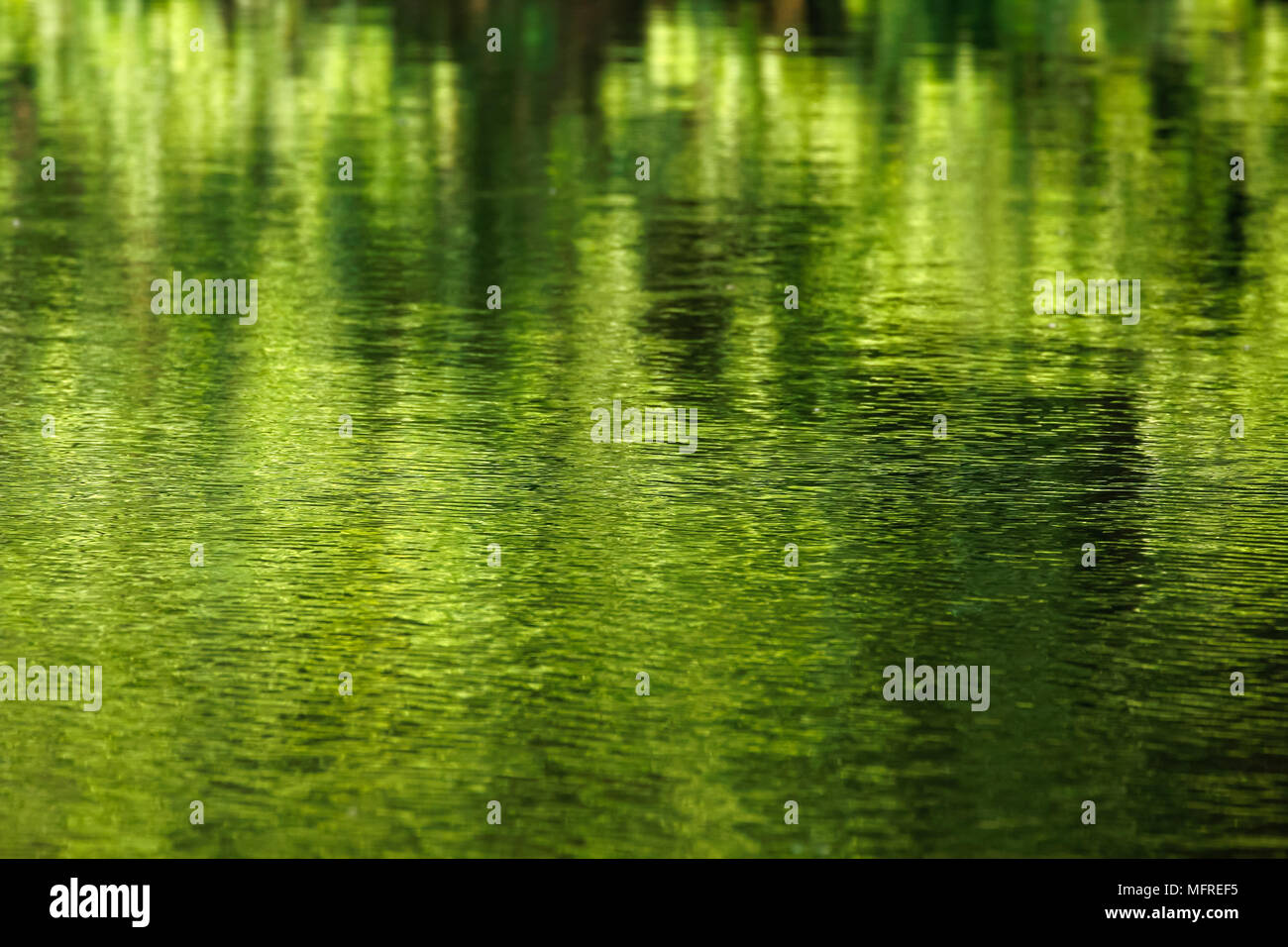 Beautiful reflection on the water surface (shallow DOF Stock Photo - Alamy
