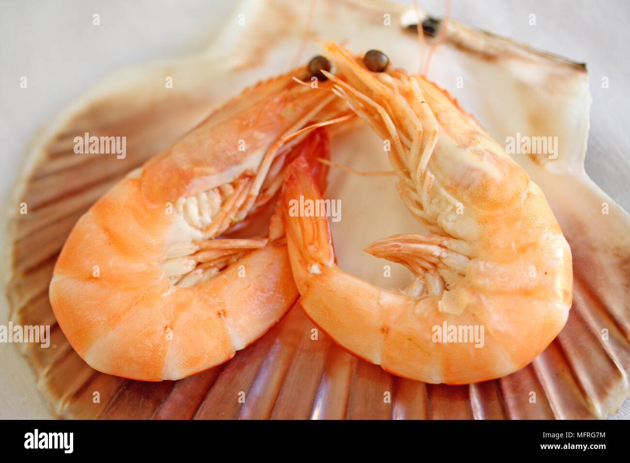 Fresh shrimp on scallop shell Stock Photo - Alamy