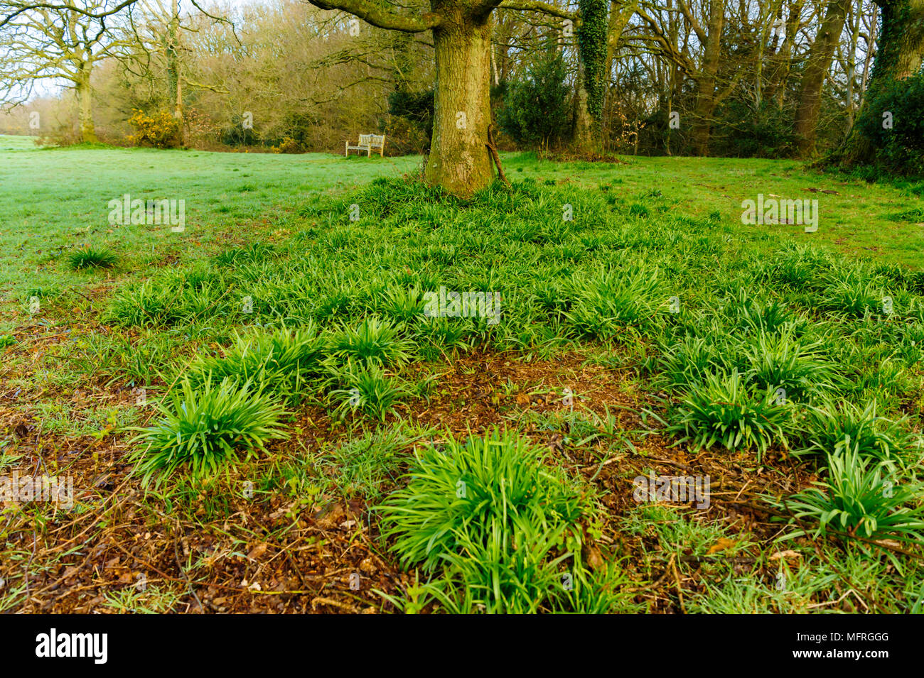 East knoyle wiltshire hi-res stock photography and images - Alamy